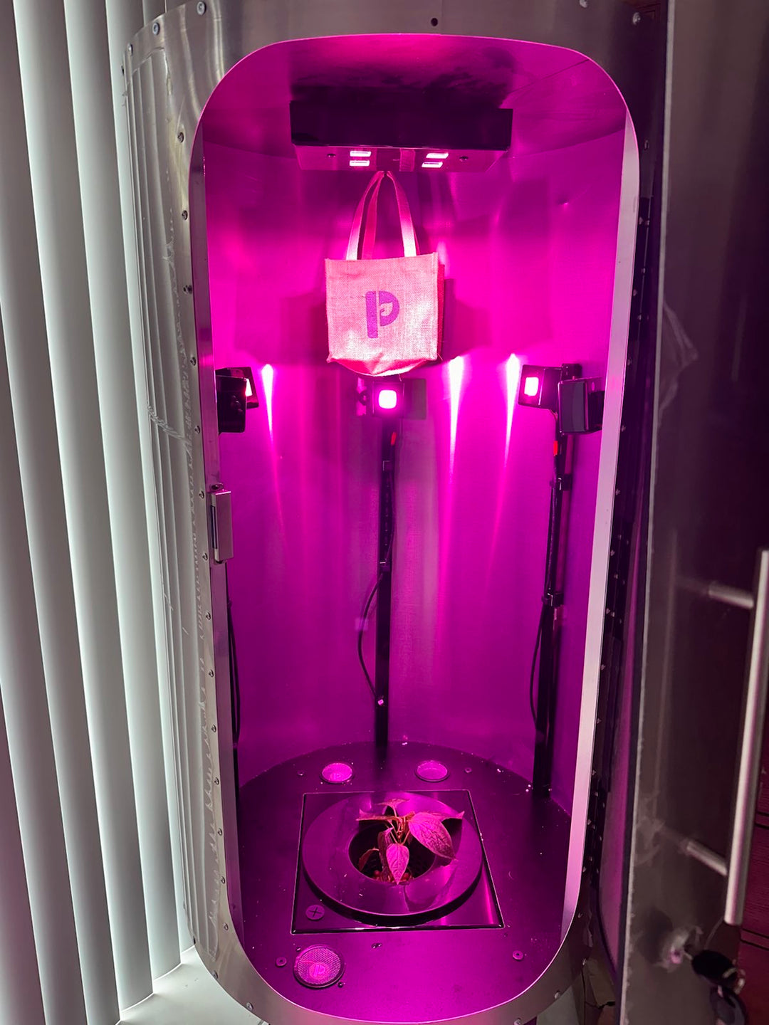 Congratulations to Cecilia for growing the first pepper plant with Pla ...